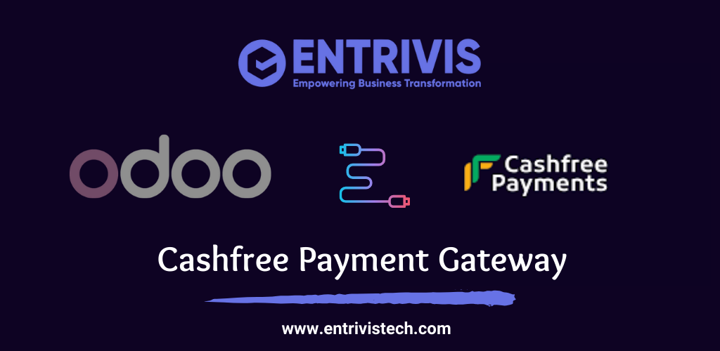 Paystack Integration with Odoo | Entrivis Tech